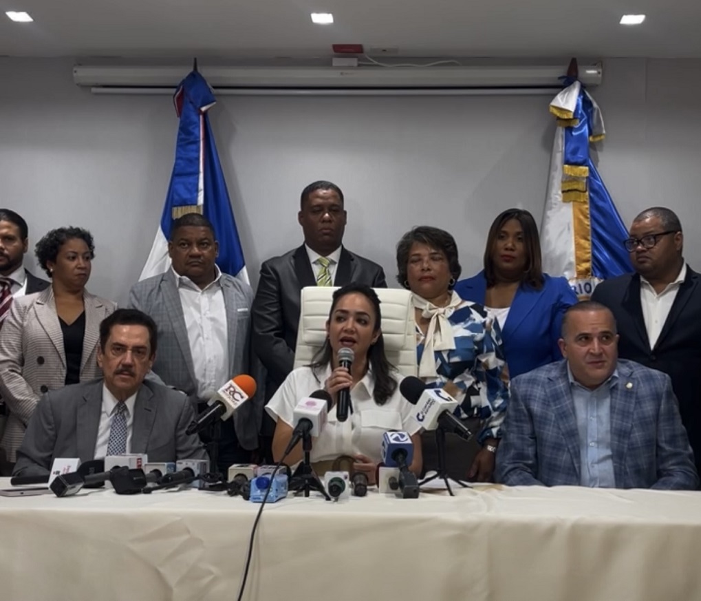 Senadora Faride Raful reitera voluntad de retener su curul por cuatro ...